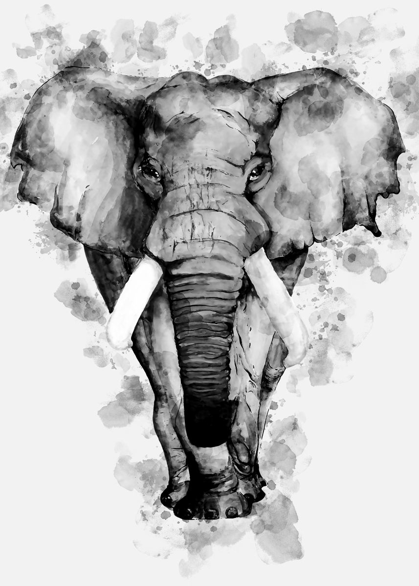 'Elephant Ink' Poster, picture, metal print, paint by Mateusz Ślemp ...