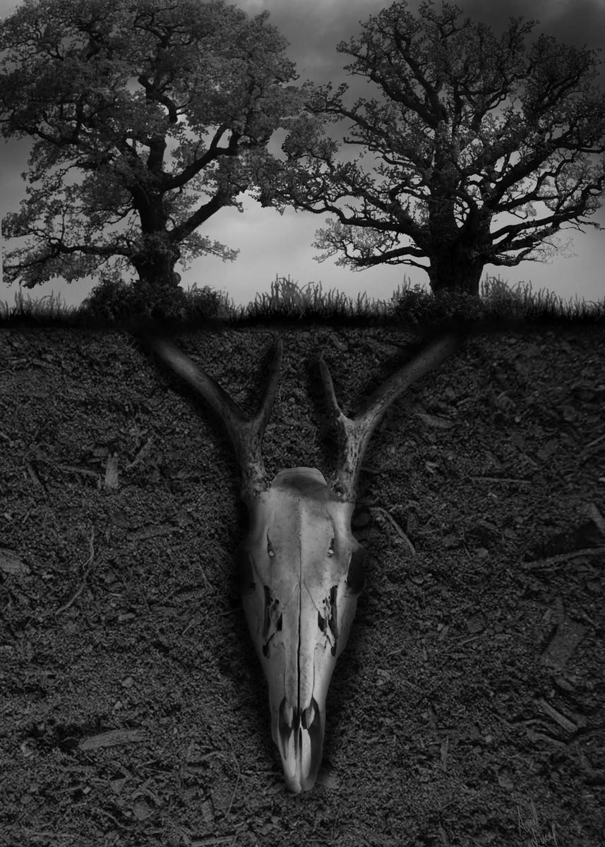 'Deer Skull Trees Print' Poster by Avril Lucy | Displate