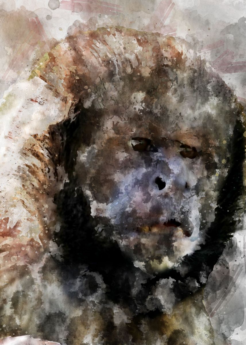 'Capuchin' Poster, picture, metal print, paint by Printed Artings ...