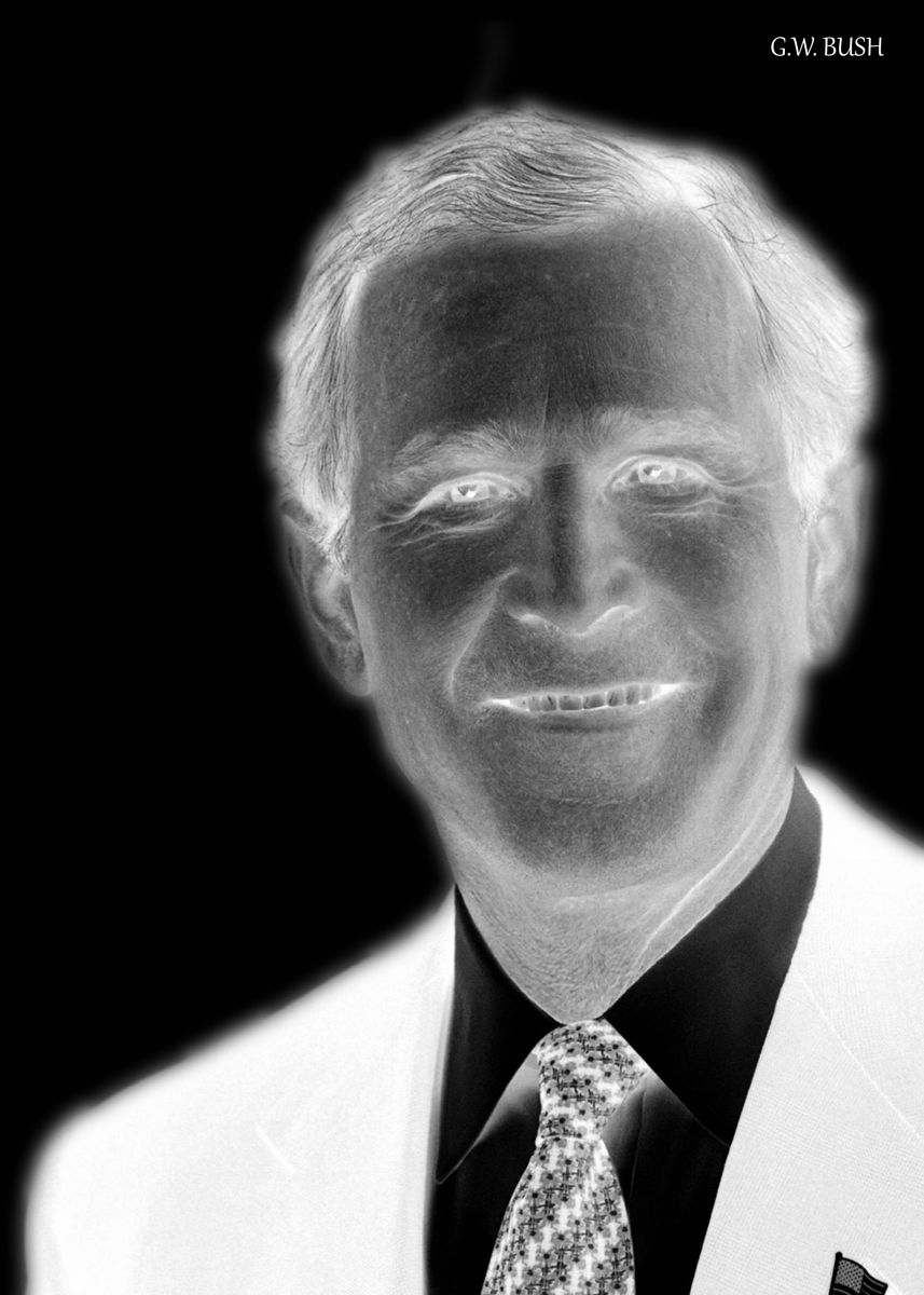 'Bush' Poster by Abel Nobel | Displate