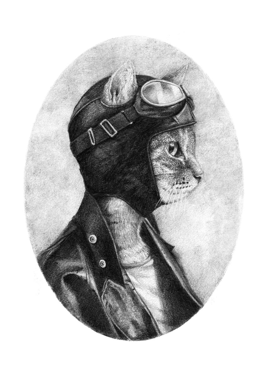 'Pilot' Poster by Mike Koubou | Displate