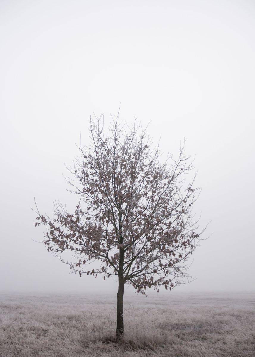 'Loneliness' Poster, picture, metal print, paint by Jakub Wencek | Displate