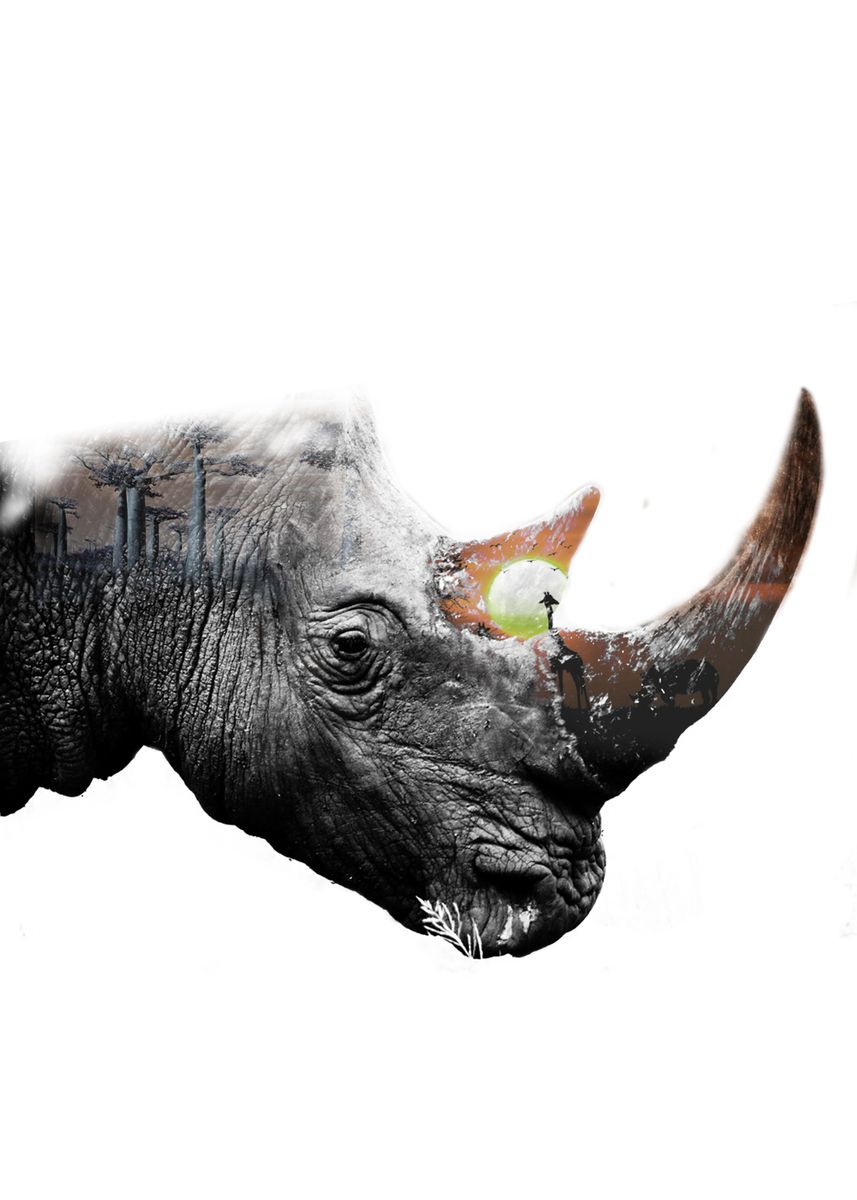 'The Rhino' Poster by Lee-Ann Gerber | Displate