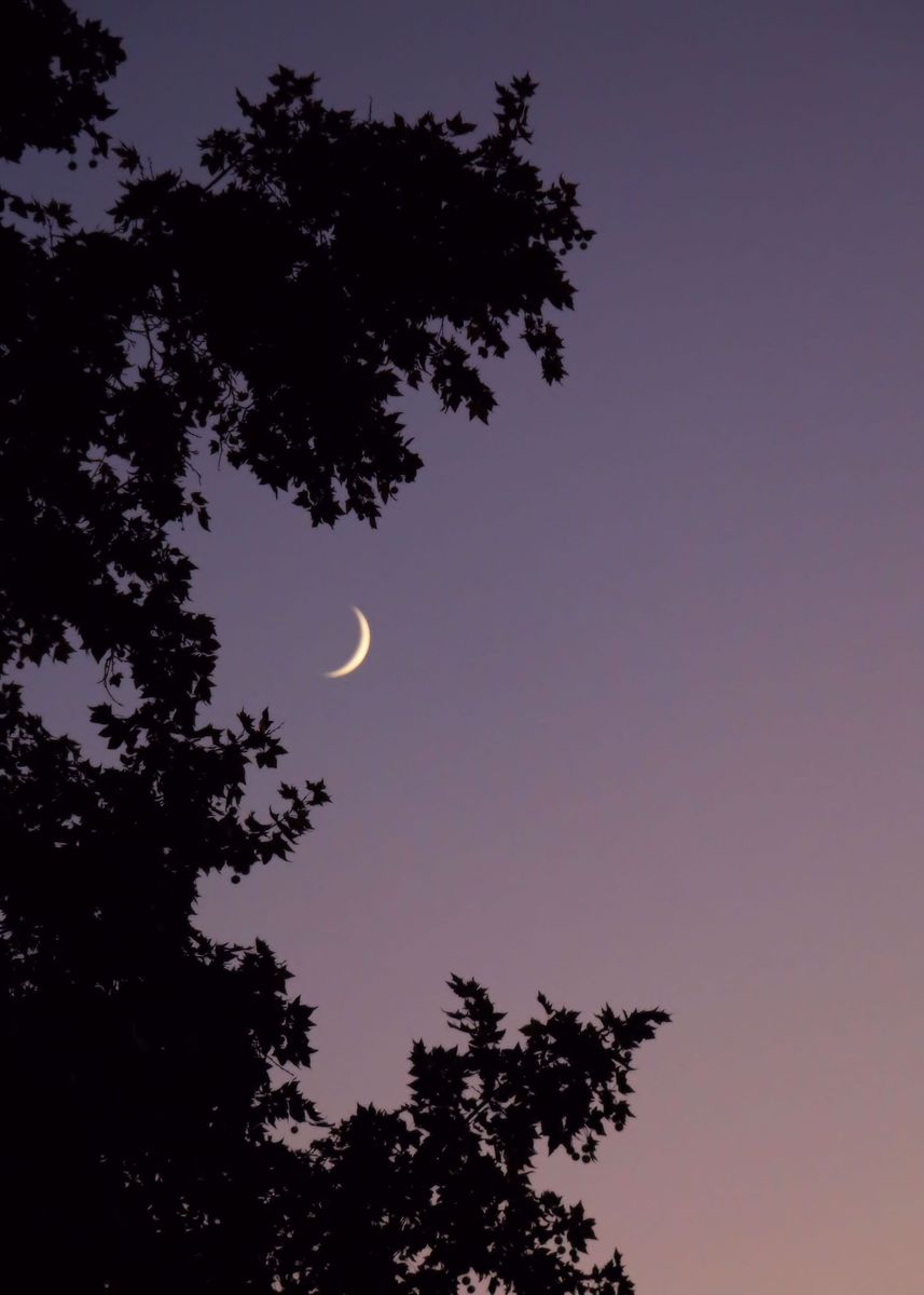 'Smile Moon' Poster by Julie Maxwell | Displate