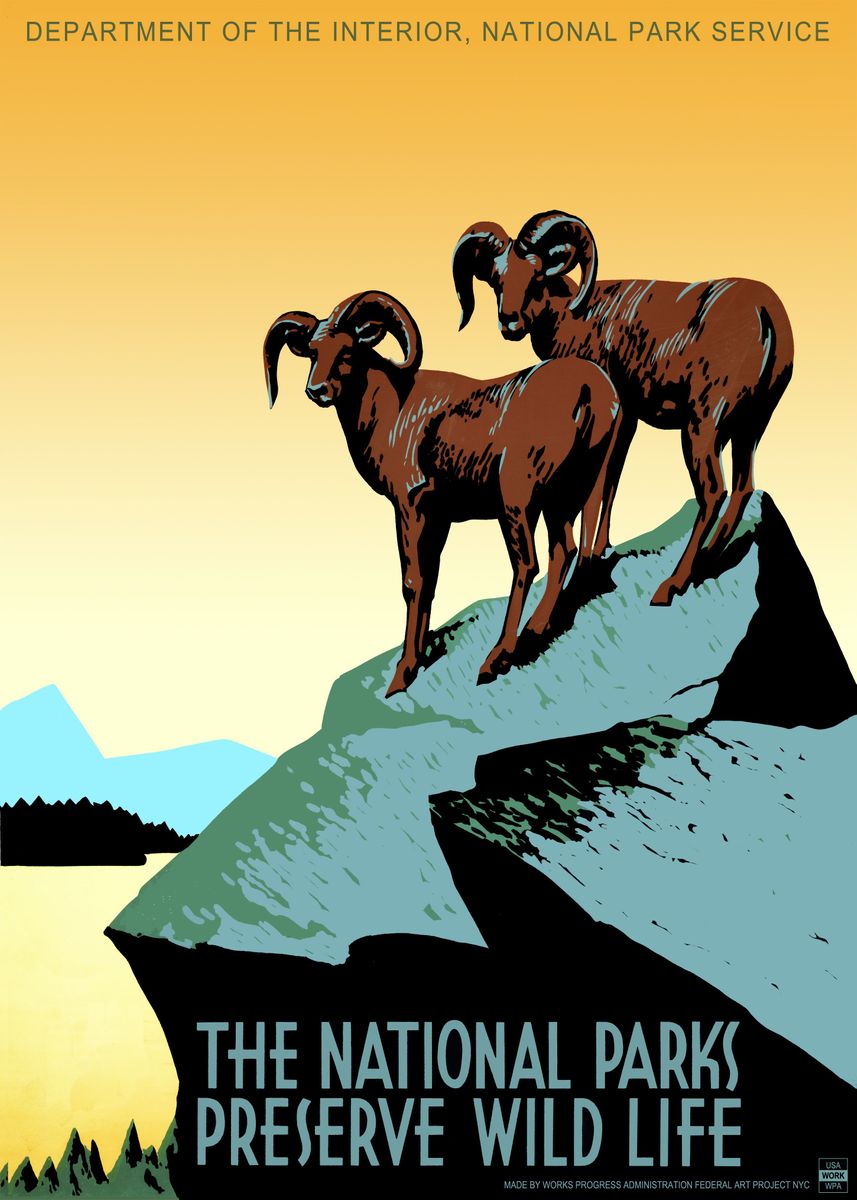'NPS Preserve Wildlife' Poster, picture, metal print, paint by Rockett ...