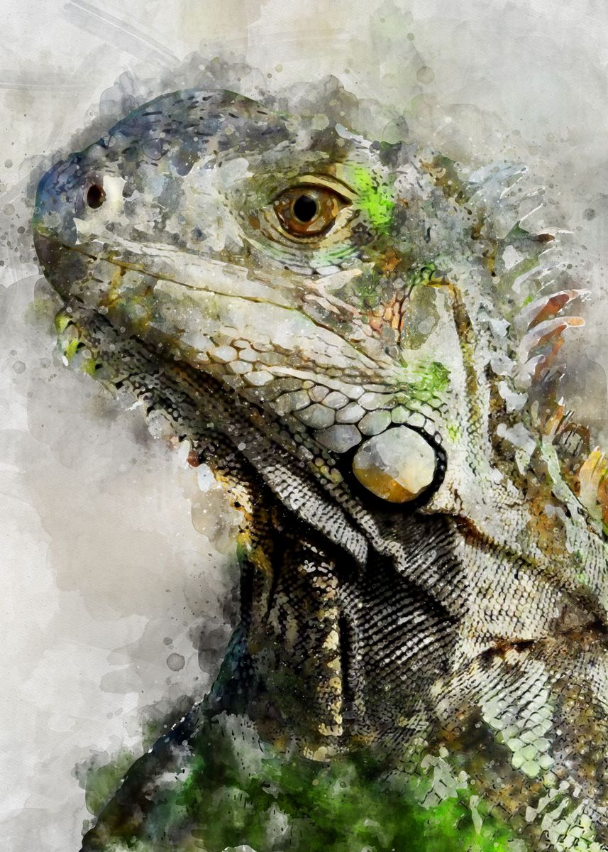 'Iguana' Poster, picture, metal print, paint by Printed Artings | Displate