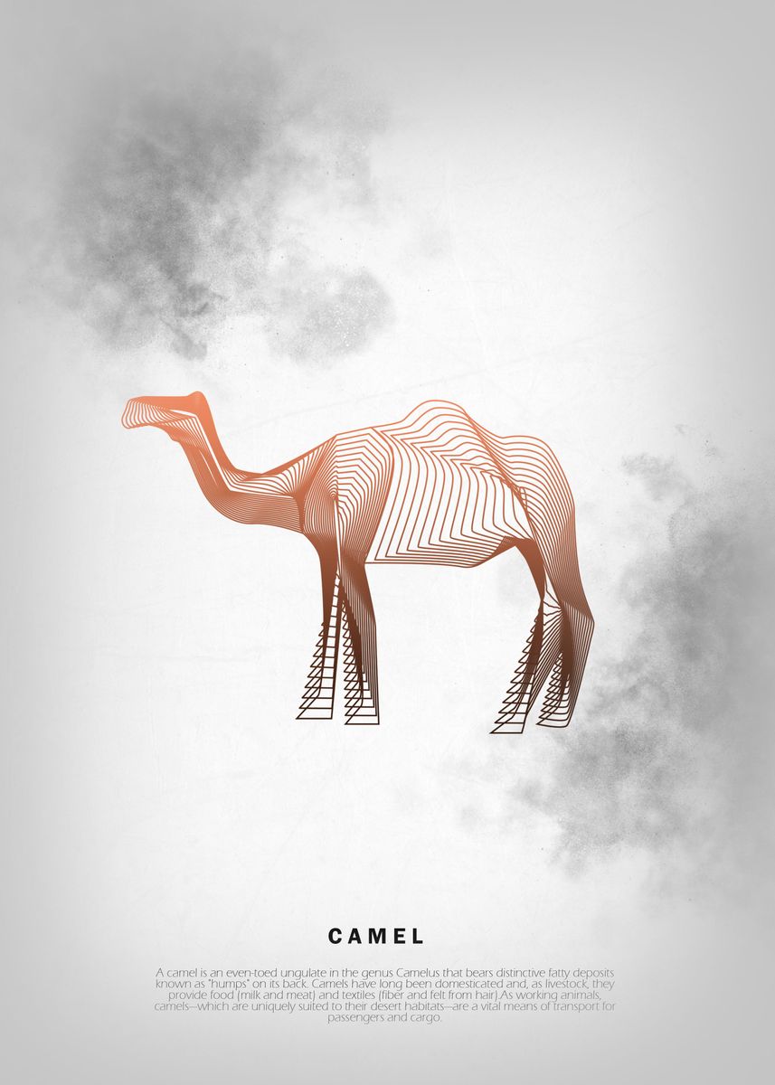 'Camel ' Poster, picture, metal print, paint by Tijana Cvetkovic | Displate