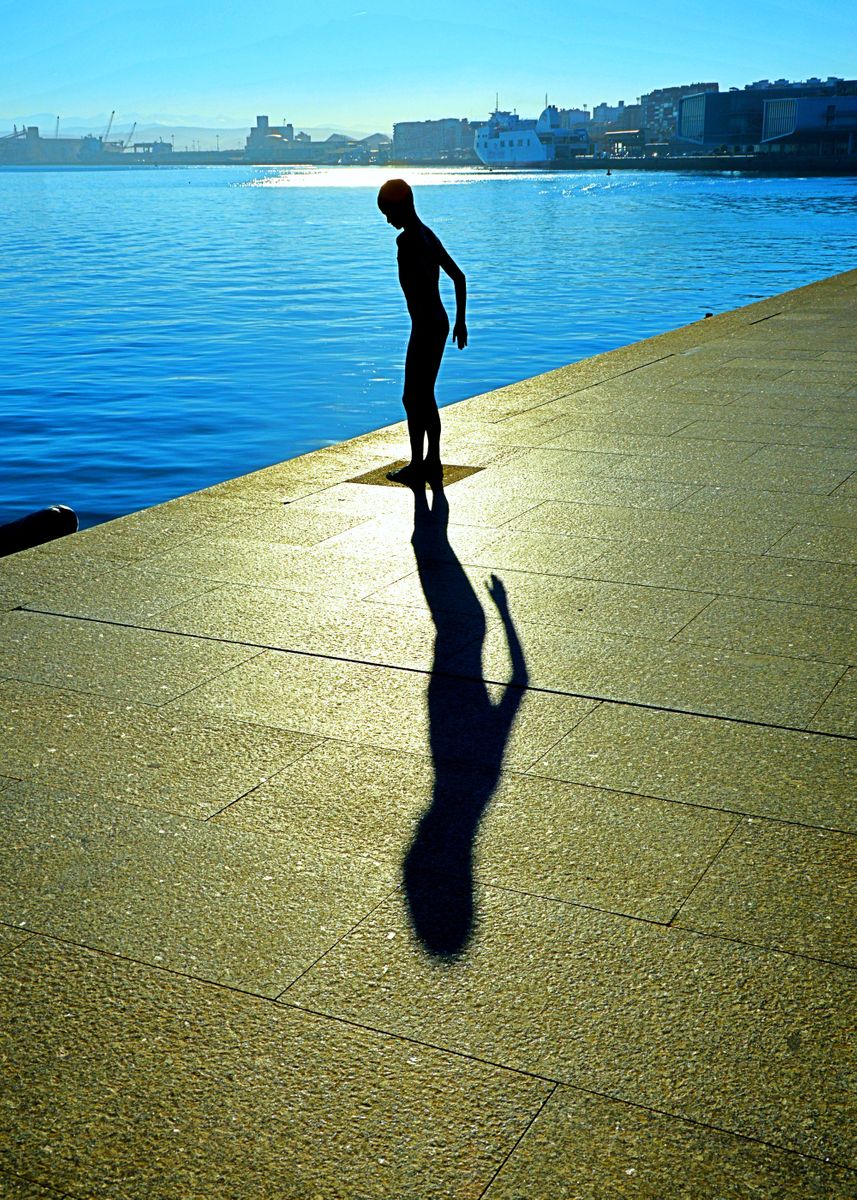 'Chico' Poster, picture, metal print, paint by GregPics | Displate