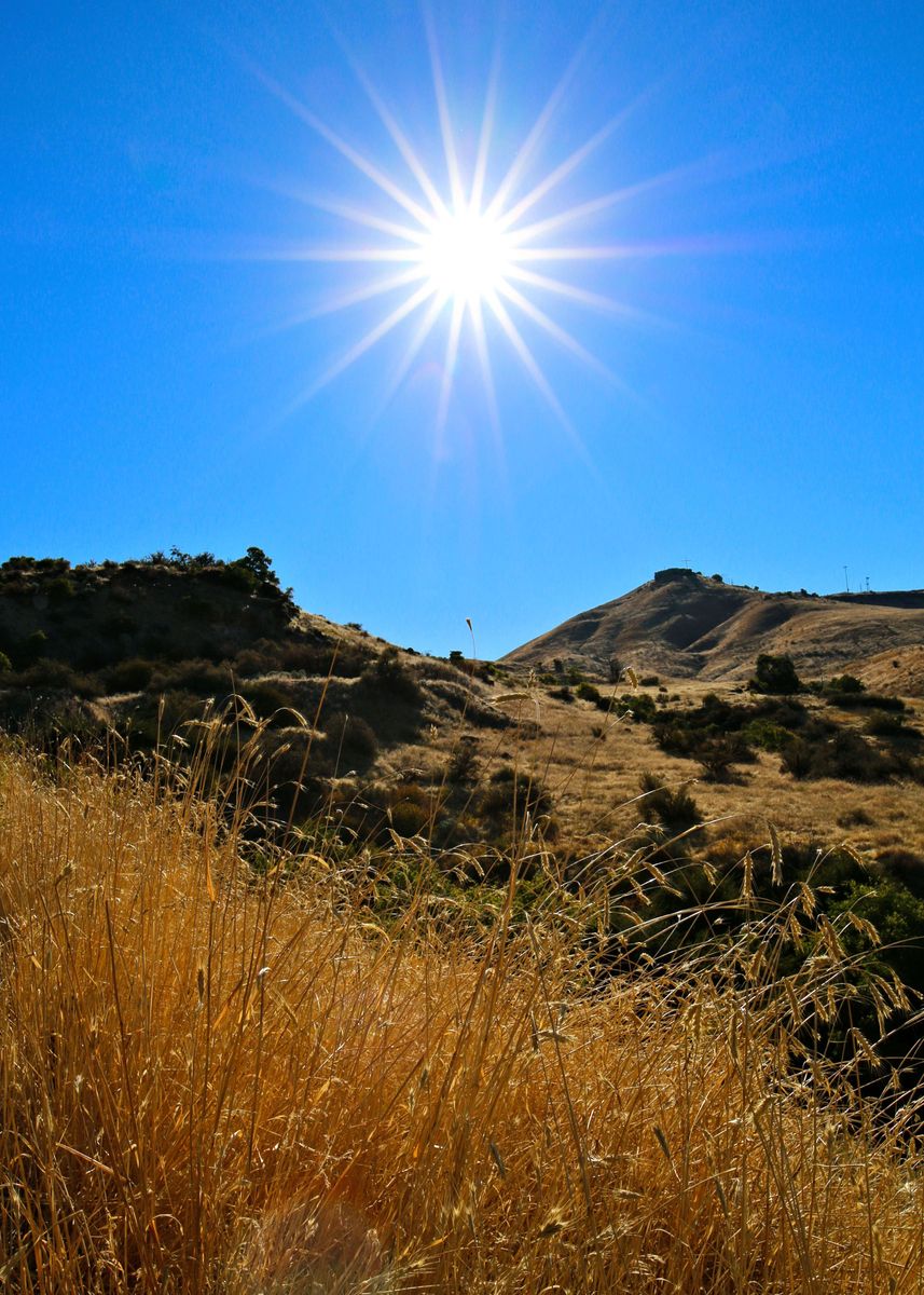 'This Idaho Sun' Poster, picture, metal print, paint by Julie Maxwell ...