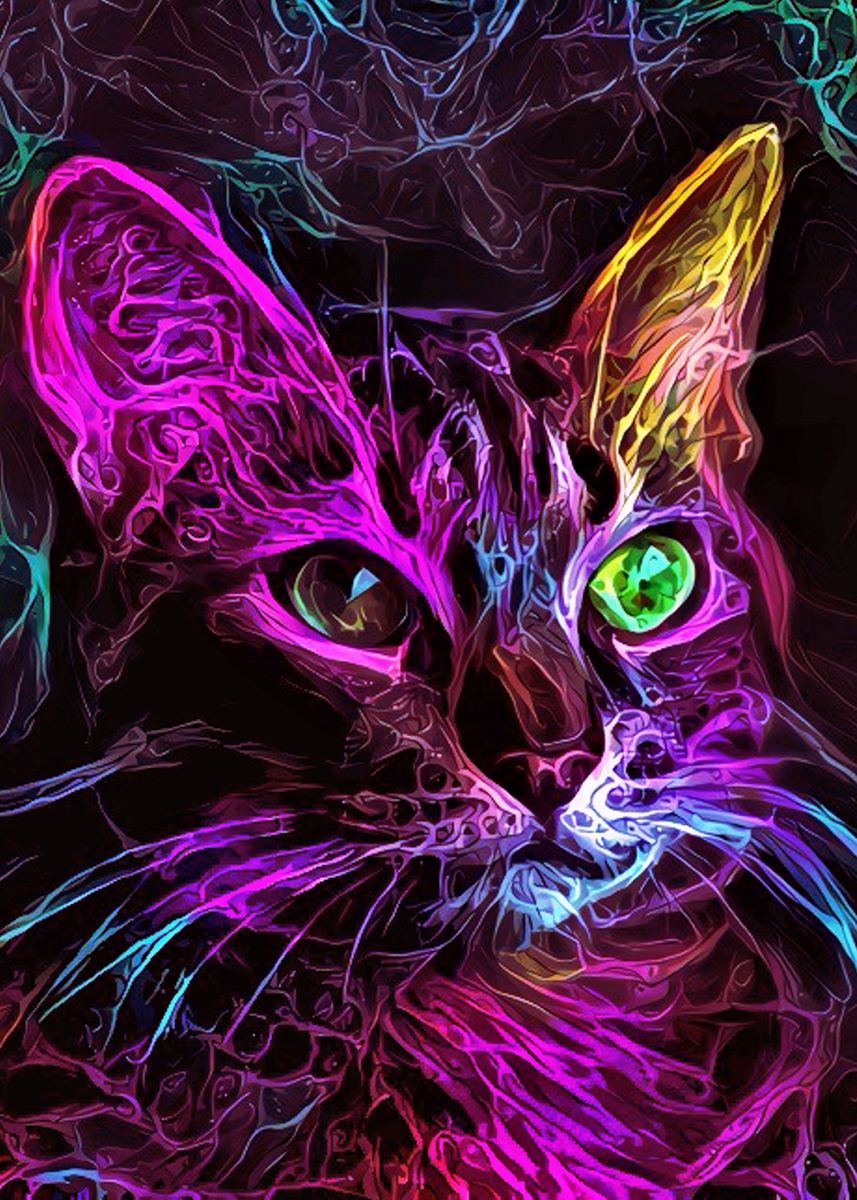 'Cat Magic' Poster, picture, metal print, paint by ACR ACR | Displate