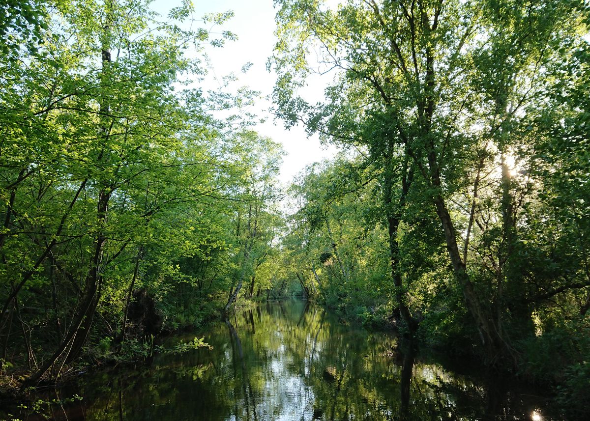 'Magical stream' Poster by JJ van de Belt | Displate
