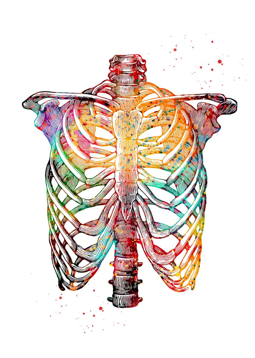 'Rib cage ' Poster, picture, metal print, paint by Erzebet Prikel ...