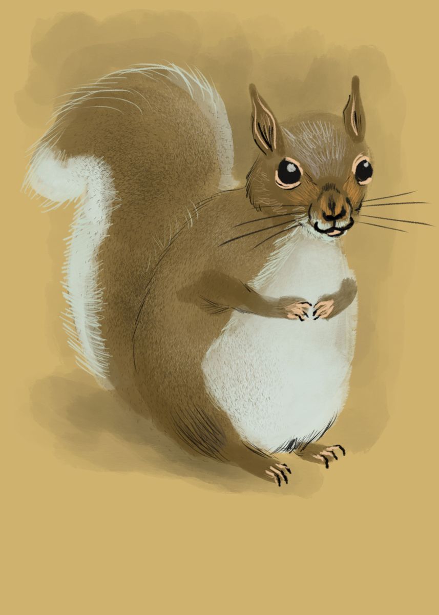'A cute Squirrel' Poster, picture, metal print, paint by Matt Corrigan ...