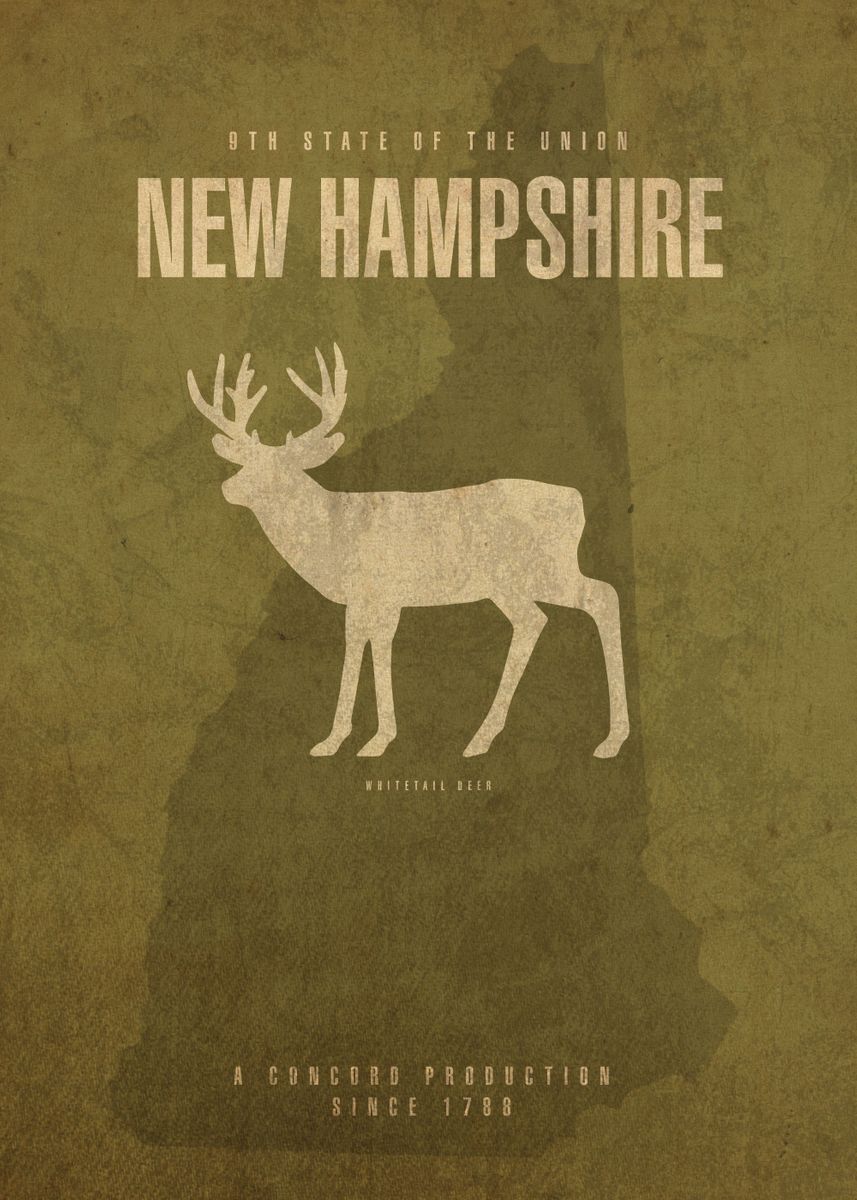 'New Hampshire State Facts' Poster by Design Turnpike | Displate