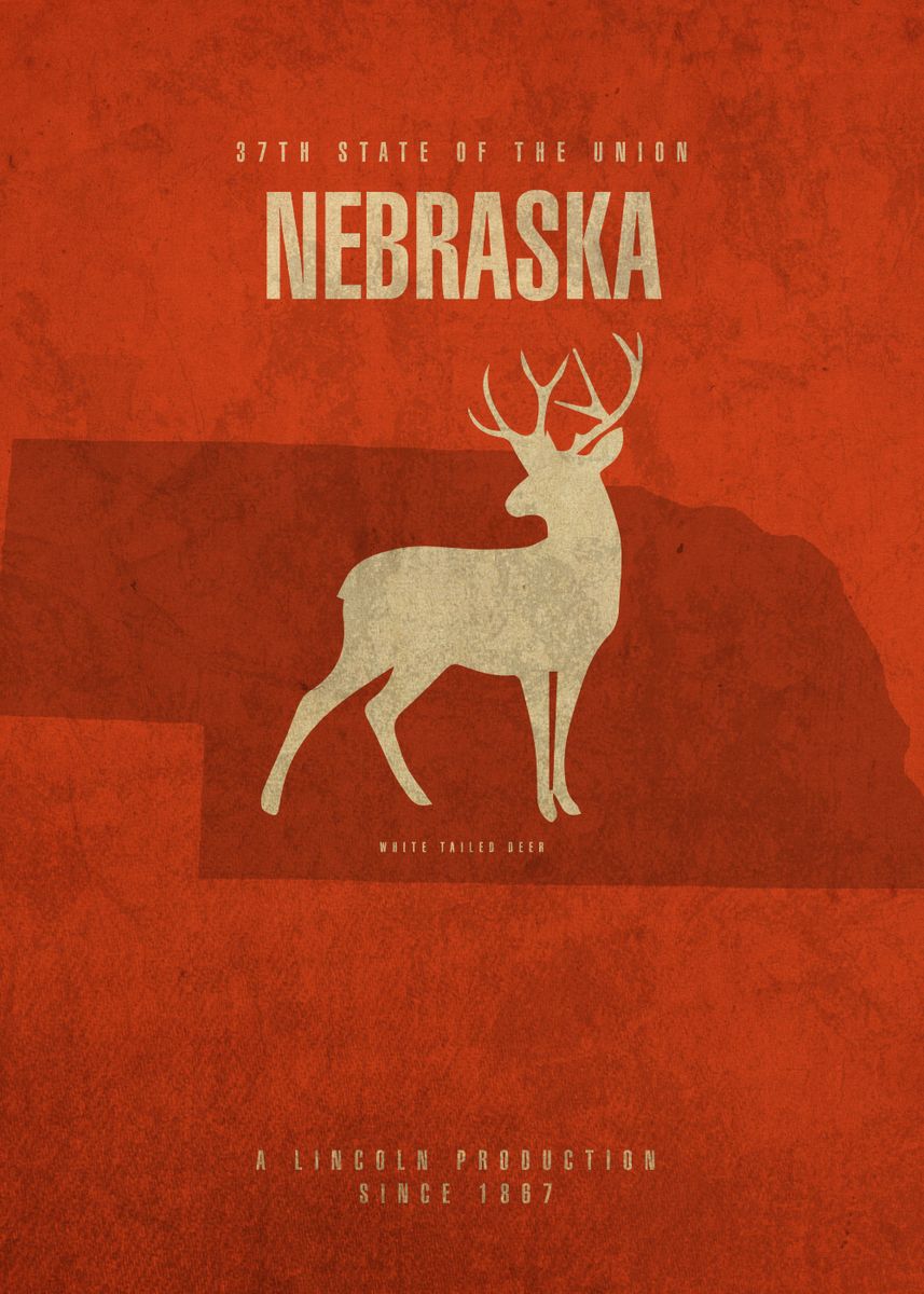 'Nebraska State Facts' Poster, picture, metal print, paint by Design ...