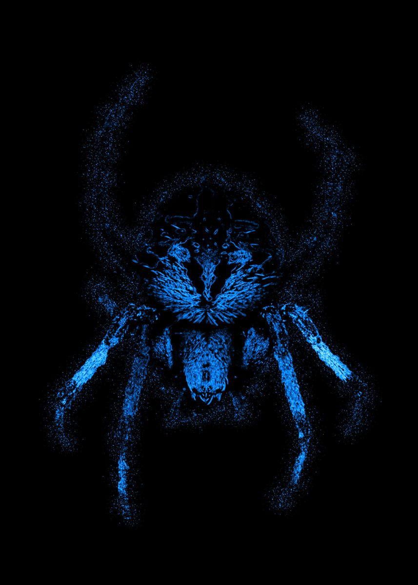 'Spider' Poster, picture, metal print, paint by 4T4 Design Studio ...