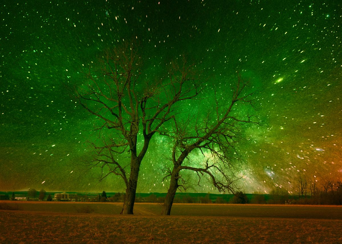 'Nature spectacle' Poster by Michael Naegele | Displate