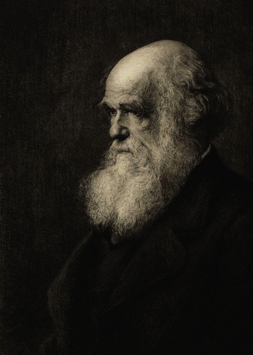 'Charles Darwin' Poster, picture, metal print, paint by Cindy Boyd ...