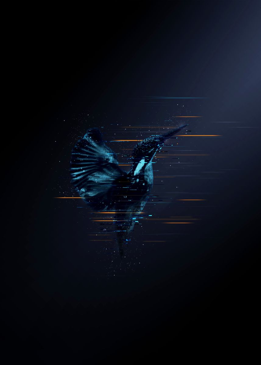 'Kingfisher' Poster, picture, metal print, paint by 4T4 Design Studio ...