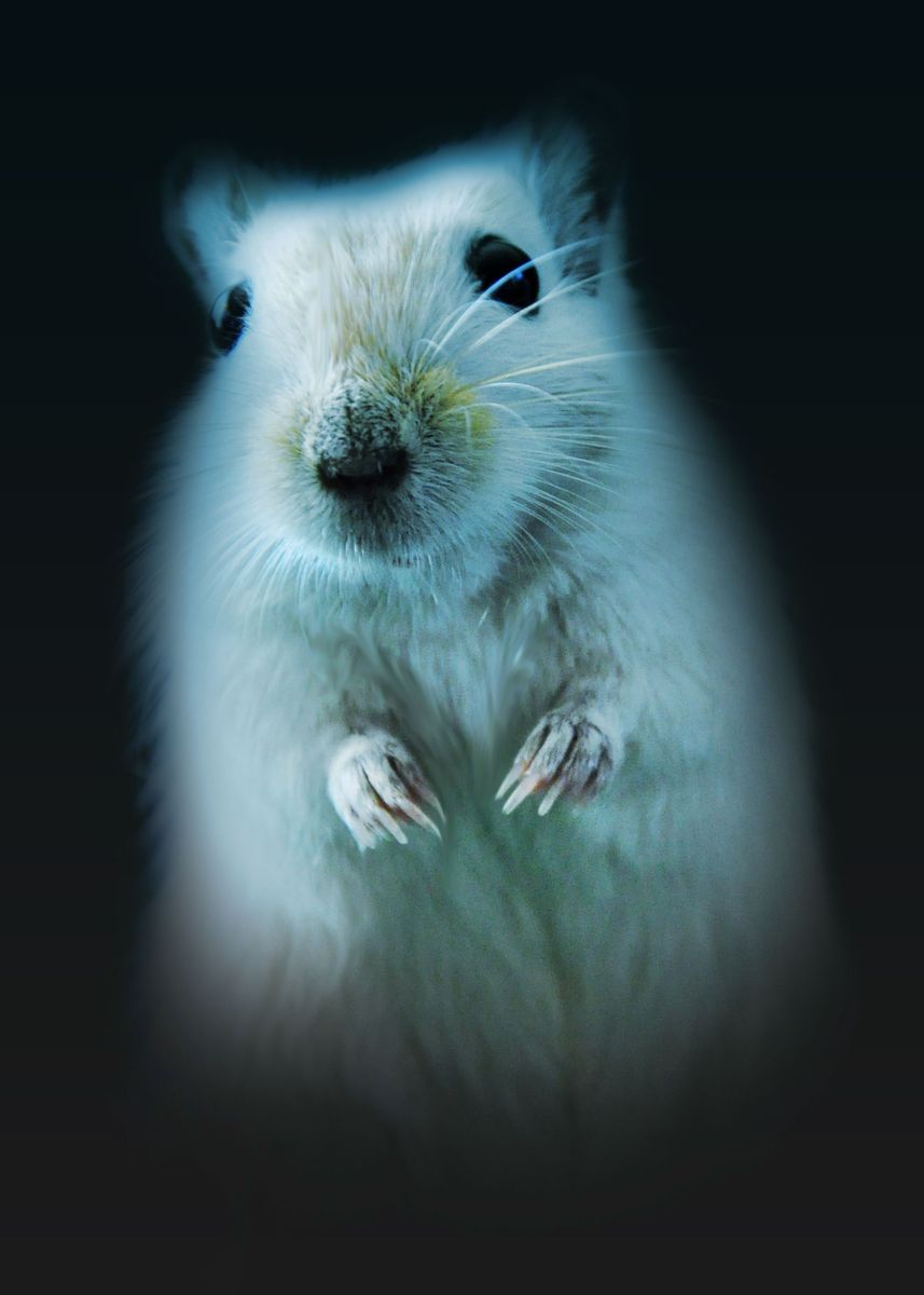 'Cute mouse' Poster by Khaerul Anam | Displate