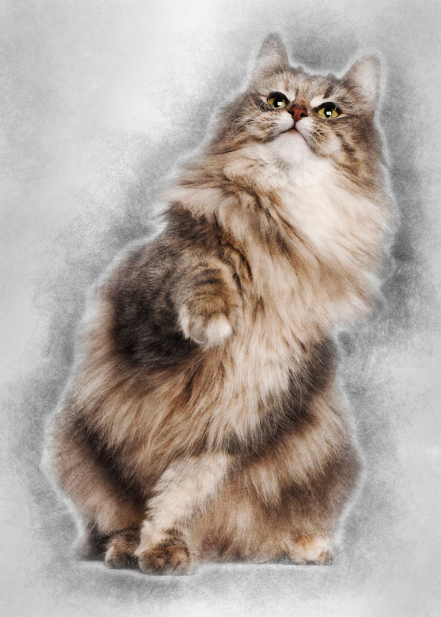 'Norwegian Forest Cat 1 and' Poster by Noahs Ark | Displate