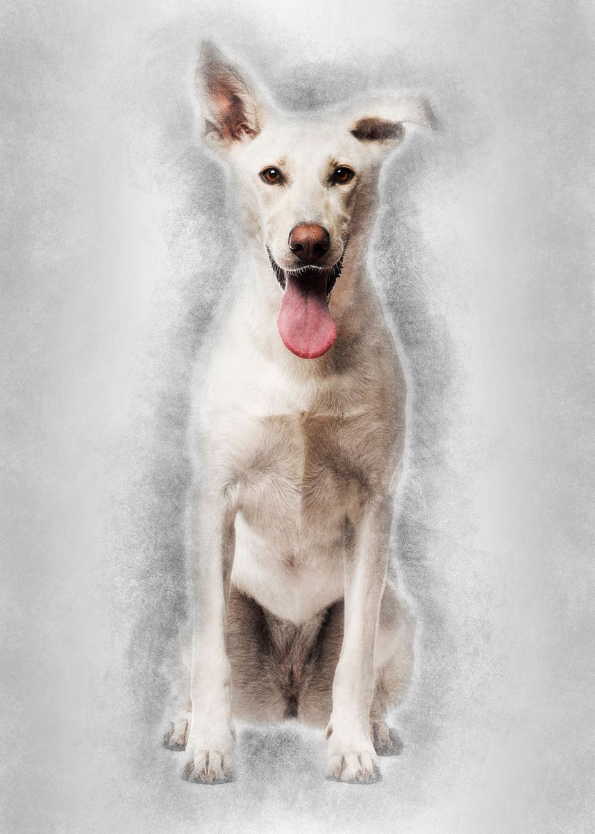 'Portrait of Crossbreed dog' Poster, picture, metal print, paint by ...