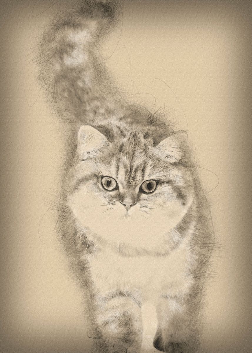 'Golden shaded British shor' Poster by Noahs Ark | Displate