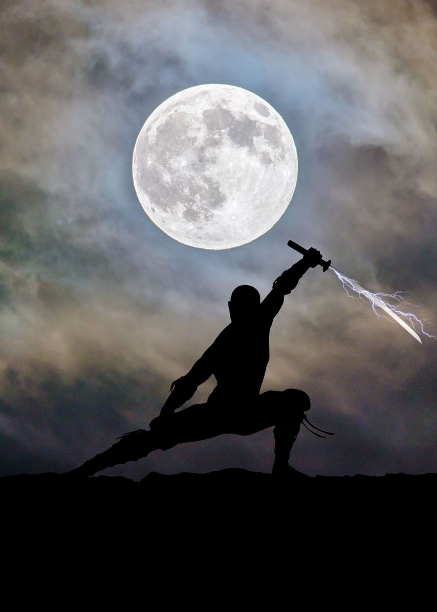 'The Shadow Warrior ' Poster, picture, metal print, paint by Waqas ...