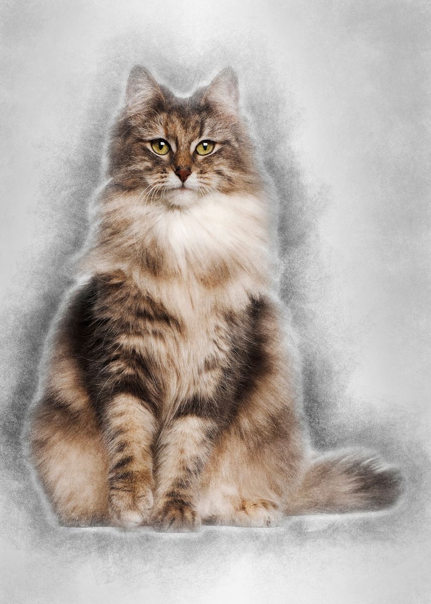 'Portrait of Norwegian Fore' Poster, picture, metal print, paint by ...