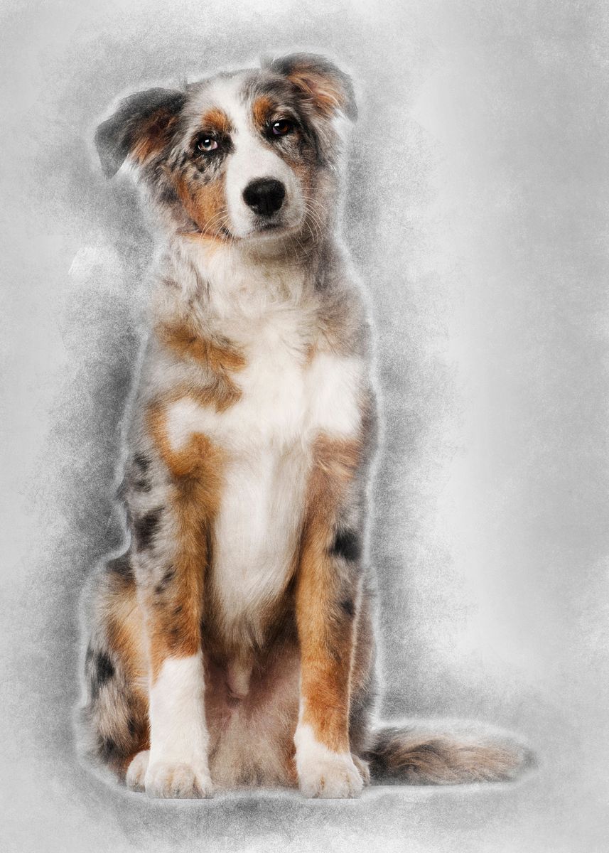 'Portrait of Australian She' Poster, picture, metal print, paint by ...