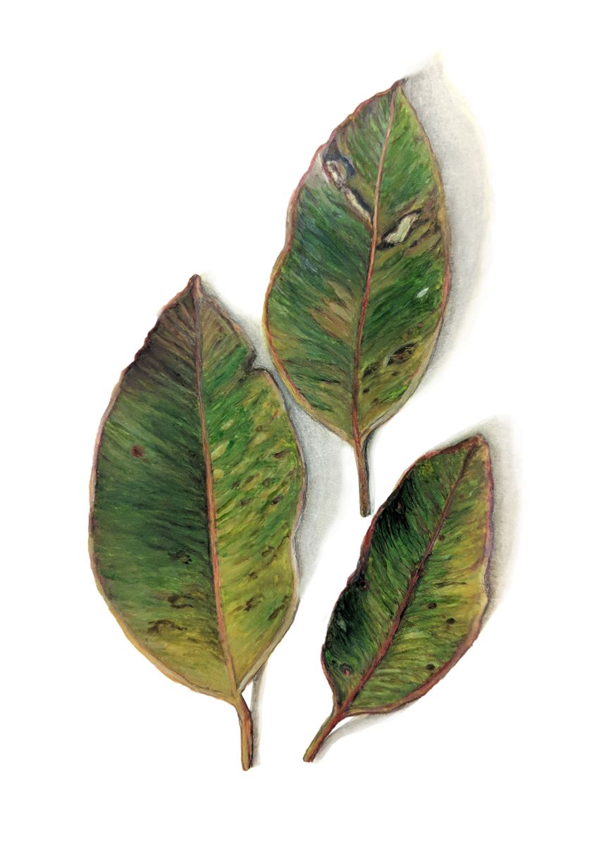 'Cycle Part One' Poster by Evelyn Ruth | Displate