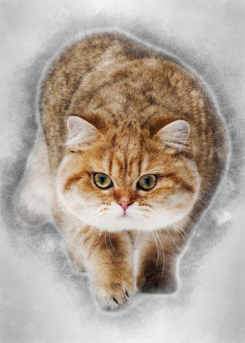 'Golden shaded British shor' Poster, picture, metal print, paint by ...