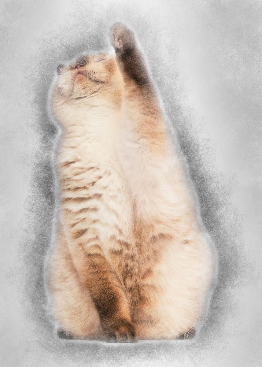 'Fat British Shorthair 25 y' Poster by Noahs Ark | Displate