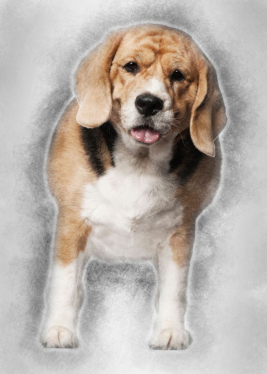 'Fat Beagle 3 years old sta' Poster, picture, metal print, paint by ...