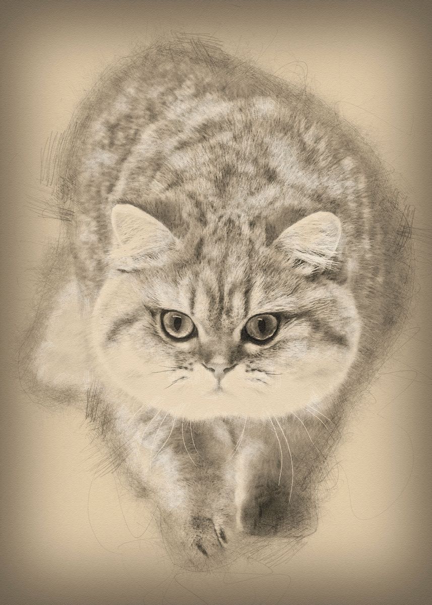 'Golden shaded British shor' Poster by Noahs Ark | Displate