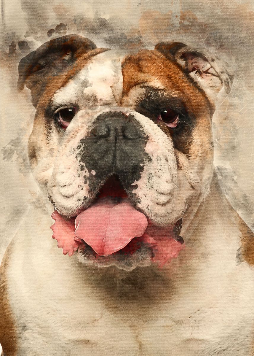 'English Bulldog 6 years ol' Poster by Noahs Ark | Displate