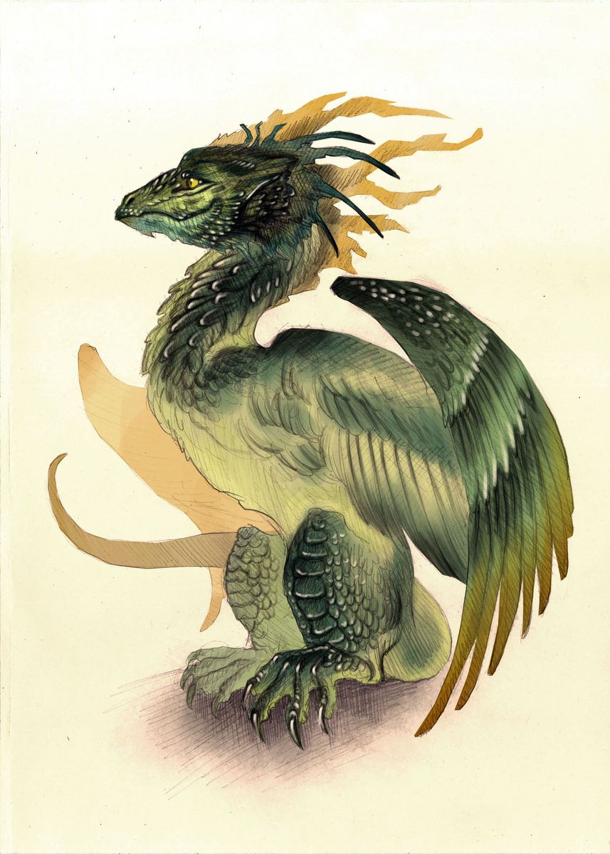 'Green dragon' Poster, picture, metal print, paint by Bibiana ...