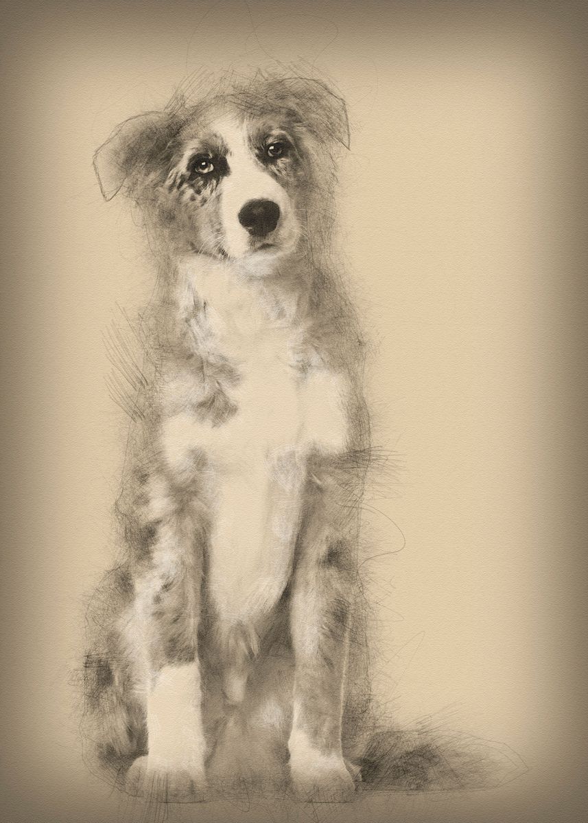 'Portrait of Australian She' Poster by Noahs Ark | Displate