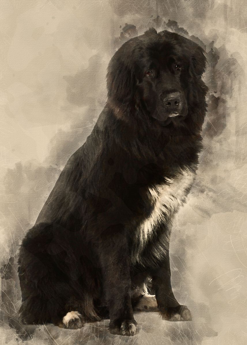 'Bastard dog 9 months old s' Poster by Noahs Ark | Displate