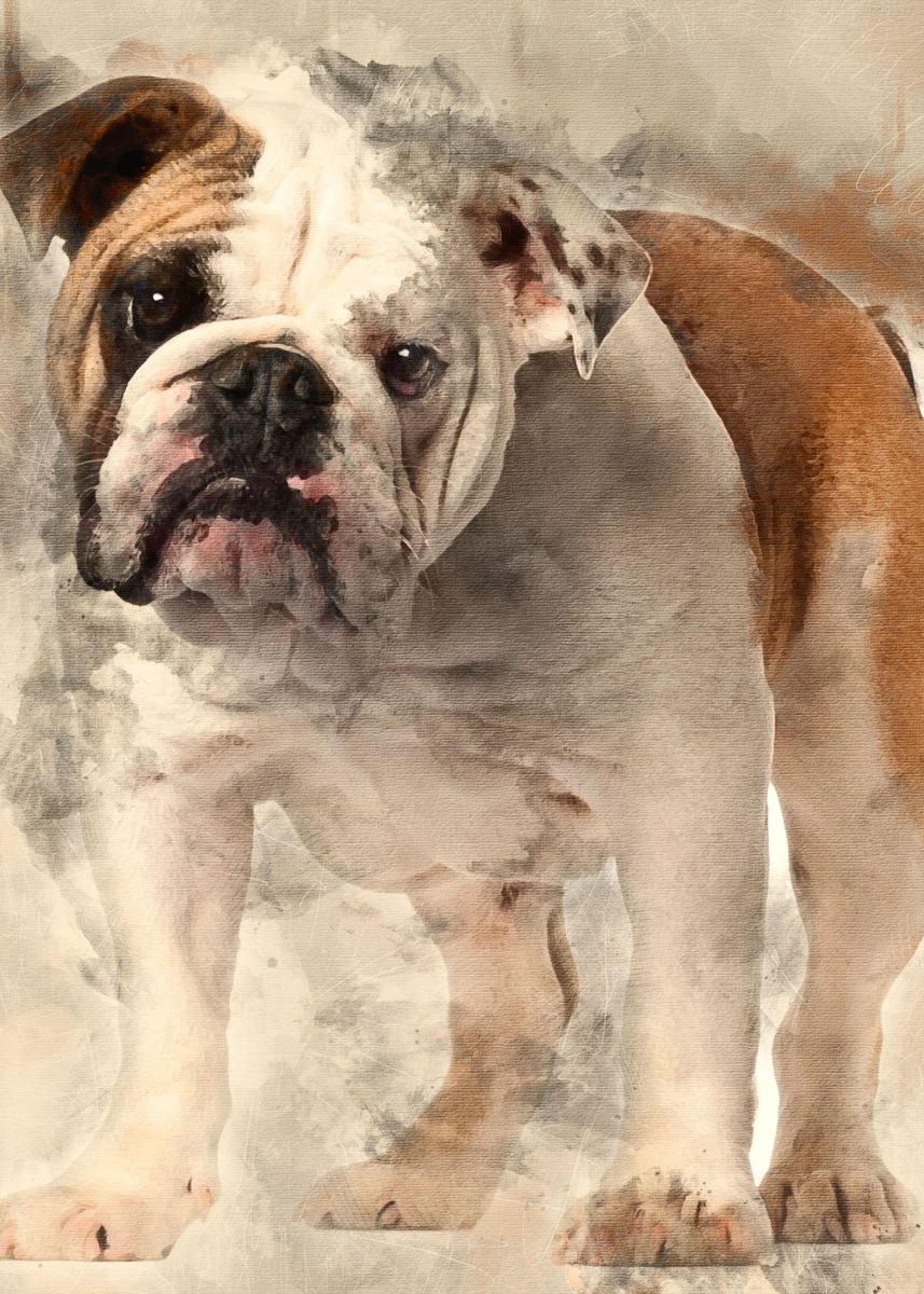 'English bulldog 7 months o' Poster, picture, metal print, paint by ...