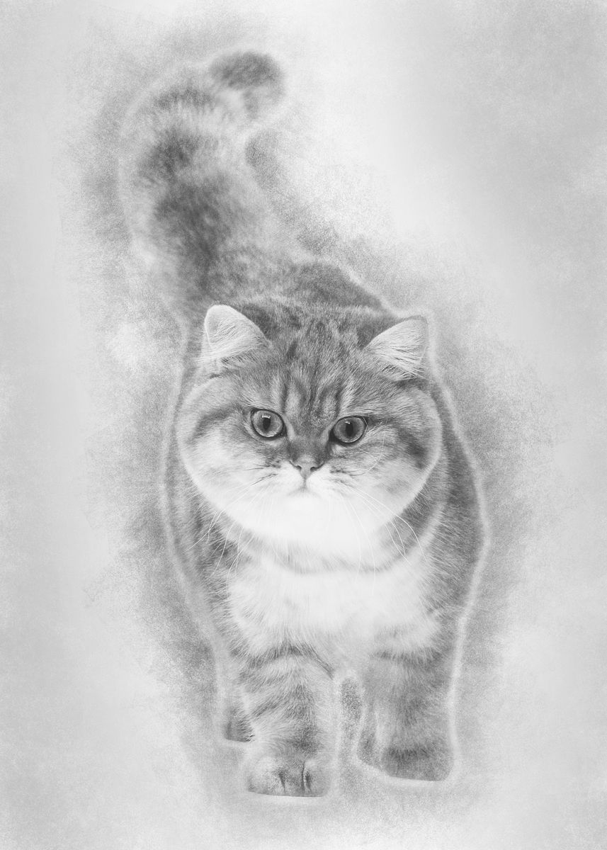 'Golden shaded British shor' Poster, picture, metal print, paint by ...