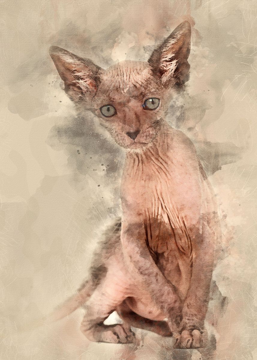 'Kitten Lykoi cat 7 weeks o' Poster, picture, metal print, paint by ...