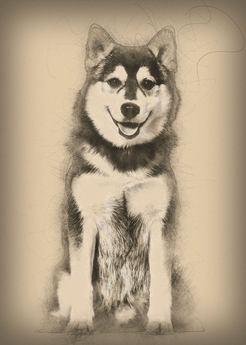 'Pomsky dog sitting against' Poster, picture, metal print, paint by ...