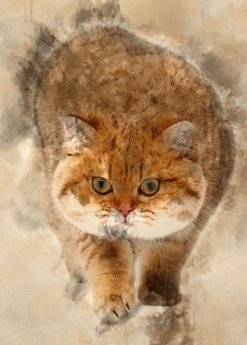 'Golden shaded British shor' Poster, picture, metal print, paint by ...