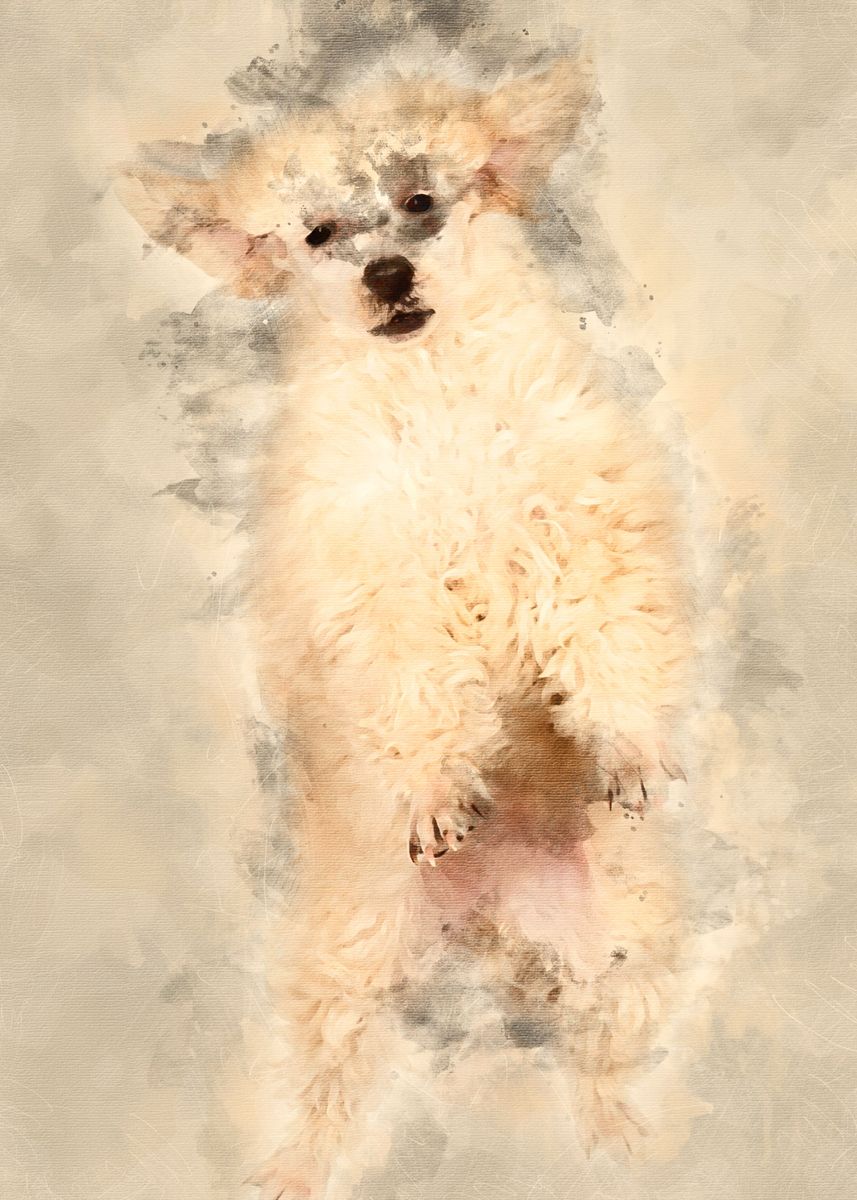 'Flying Poodle puppy agains' Poster, picture, metal print, paint by ...