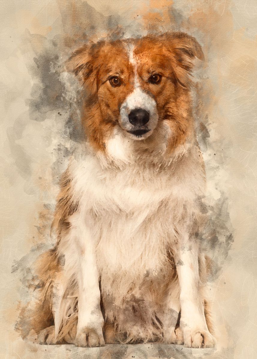'Border Collie dog sitting ' Poster by Noahs Ark | Displate
