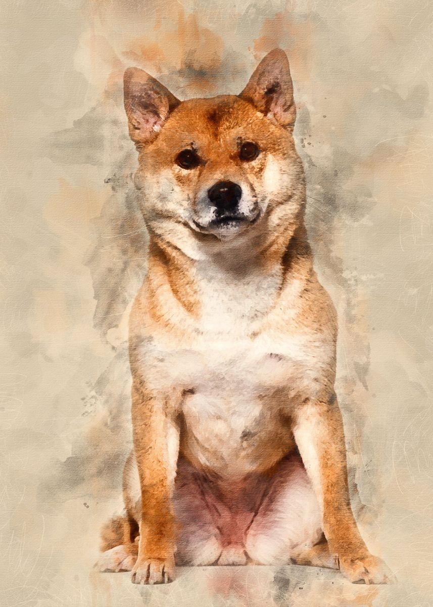 'Shiba Inu sitting against ' Poster, picture, metal print, paint by ...