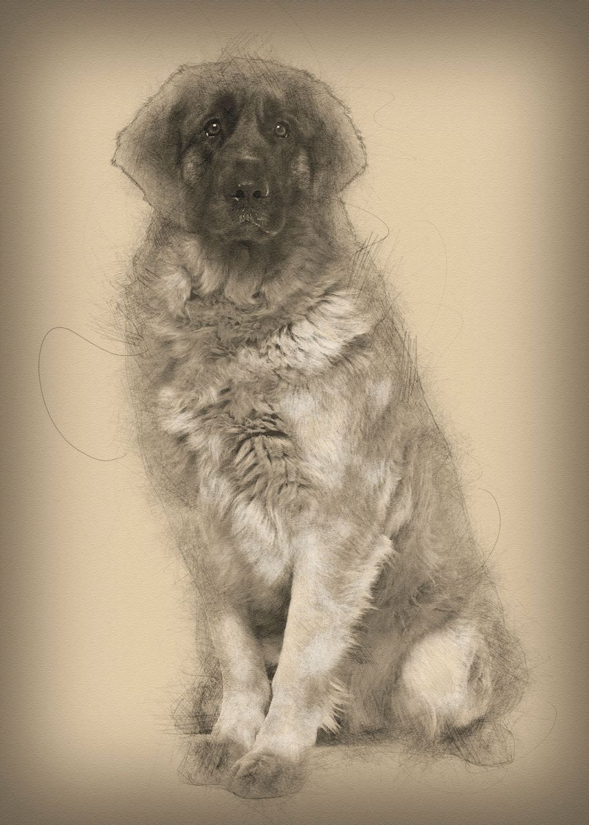 'Leonberger dog 2 years old' Poster by Noahs Ark | Displate