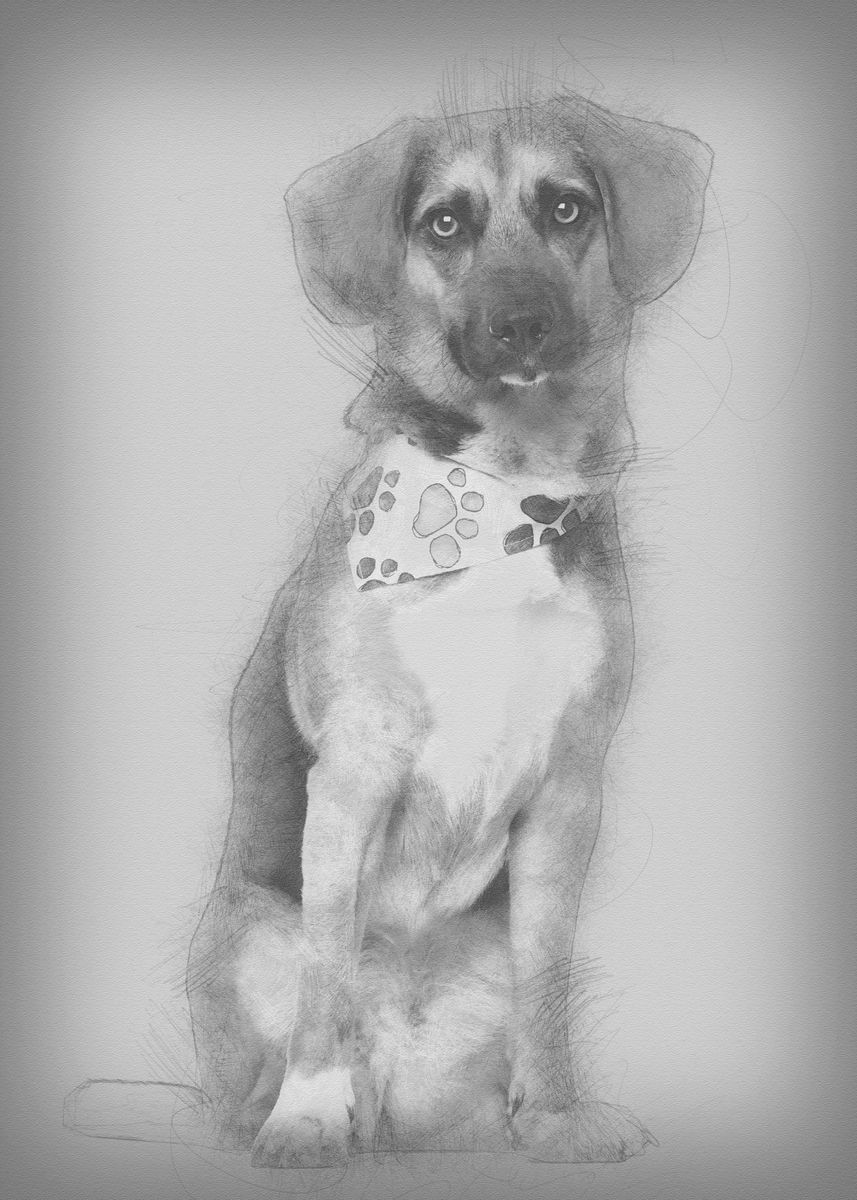 'Dog cross breed with a bea' Poster, picture, metal print, paint by ...