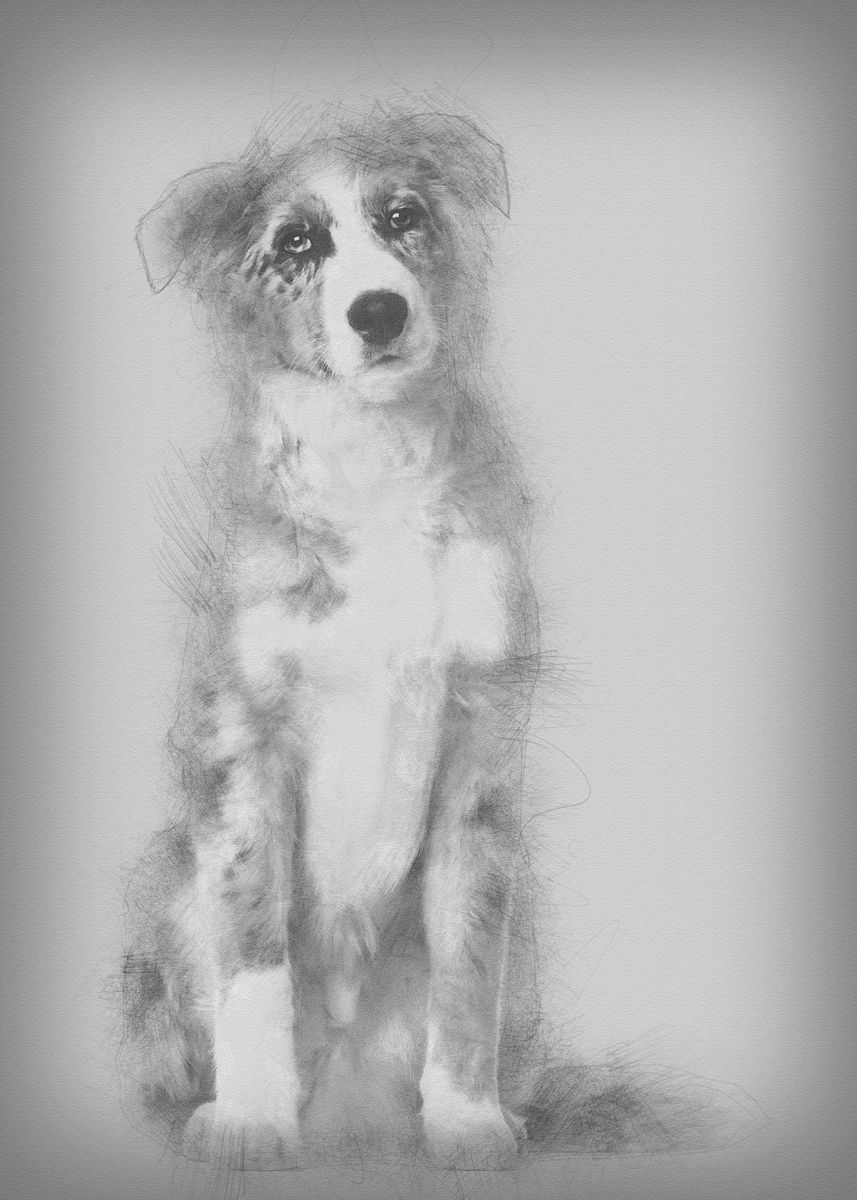 'Portrait of Australian She' Poster, picture, metal print, paint by ...